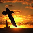 Australian Marine Parks | Parks Australia