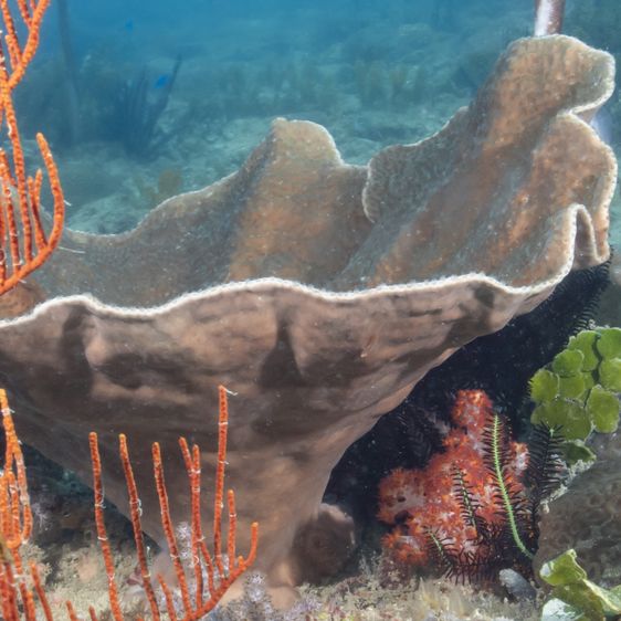 Australian Marine Parks | Parks Australia