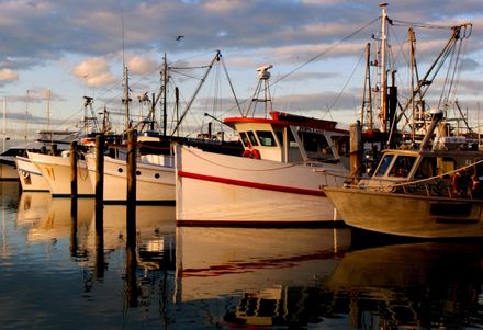 Coral Sea maps | Australian Marine Parks | Parks Australia