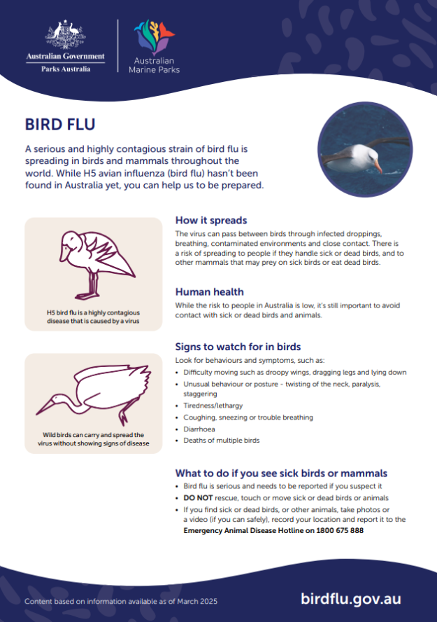 Bird flu | Australian Marine Parks | Parks Australia