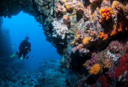 Integrated Marine Observing System (IMOS) | Australian Marine Parks ...