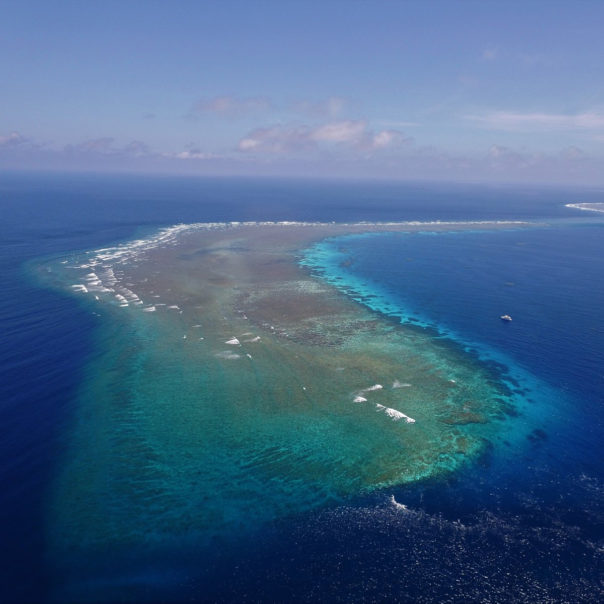 The Ashmore adventures continue | Australian Marine Parks | Parks Australia