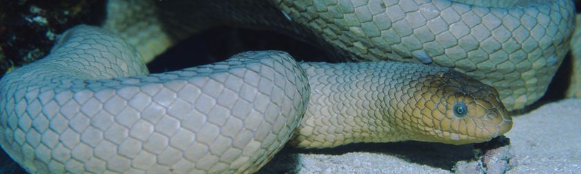 Gulf of Carpentaria Marine Park | Australian Marine Parks | Parks Australia