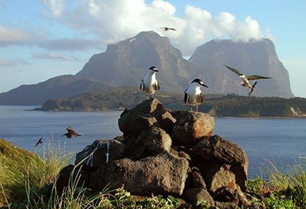 Gulf of Carpentaria Marine Park | Australian Marine Parks | Parks Australia