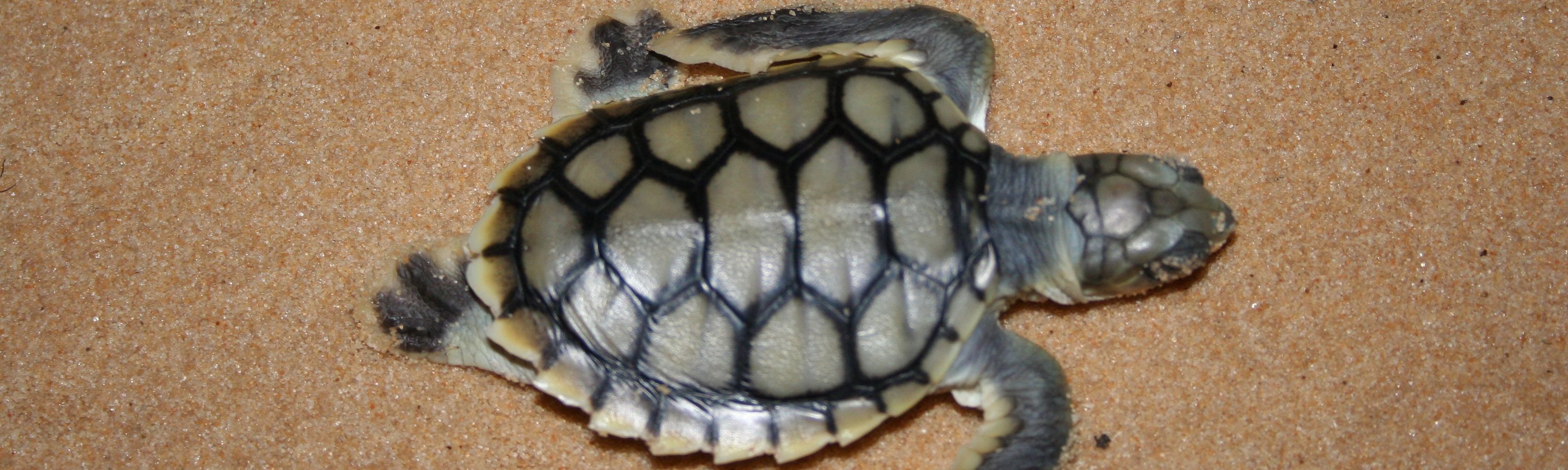 Limmen Marine Park | Australian Marine Parks | Parks Australia