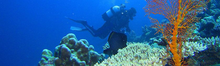 Mermaid Reef Marine Park | Australian Marine Parks | Parks Australia