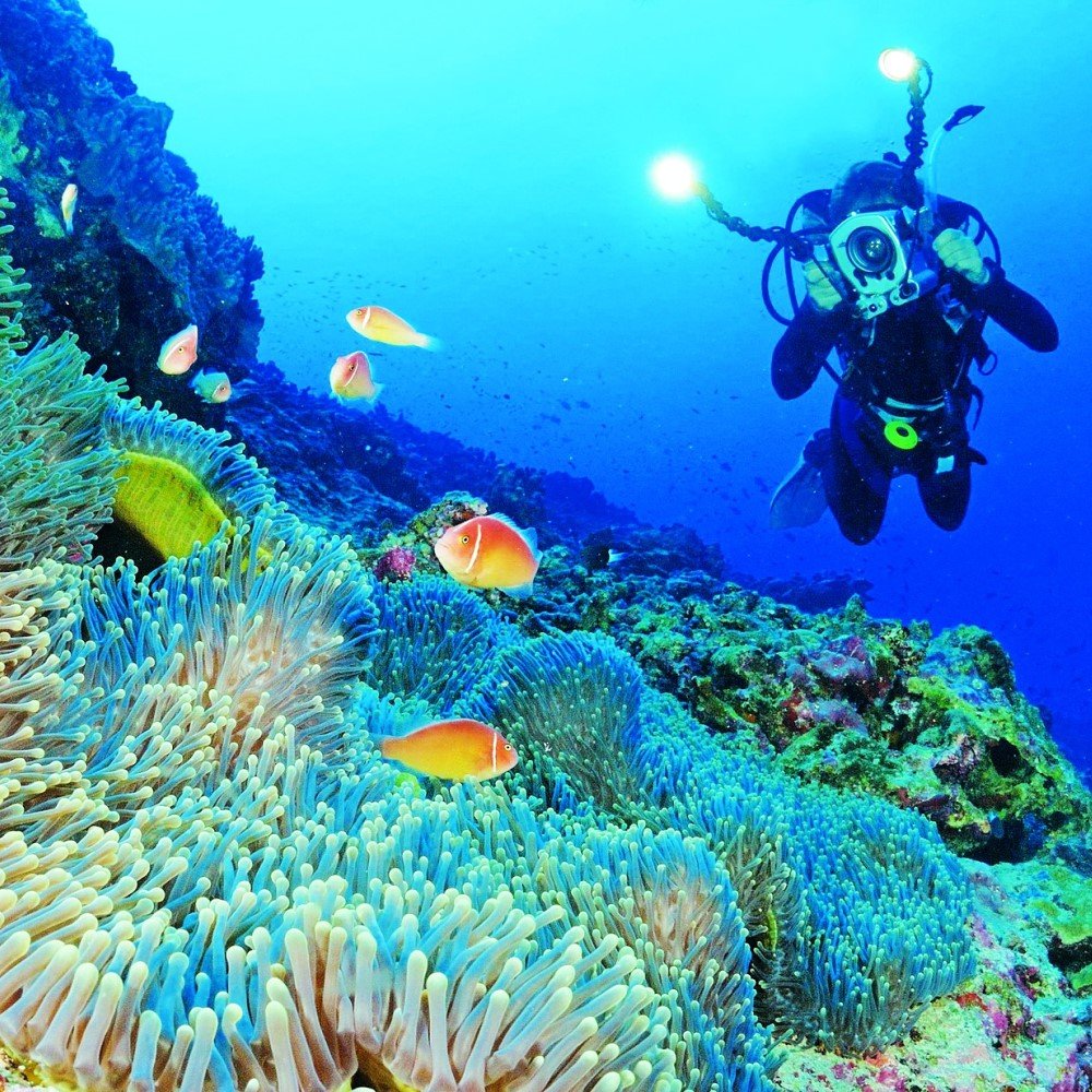 Australia to expand Marine Parks | Australian Marine Parks | Parks ...